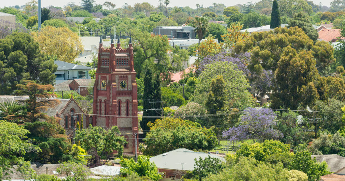 Forestree Case Study - Town of Walkerville